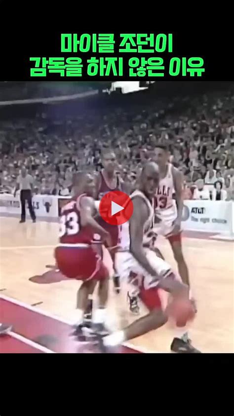 마이클 조던이 감독을 하지 않은 이유 유머 움짤 이슈 에펨코리아