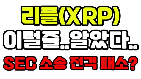 리플 전망 왜 그러나 몰라 진짜 이럴줄 알았습니다 Sec소송 Youtube