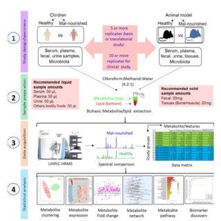 UHPLC HRMS Based Metabolomics And Lipidomics Workflow For Malnutrition Download Scientific