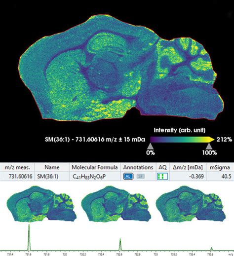 Bruker Launches Timstof Flex™ With Esi And Maldi For Spatialomx™ Bruker