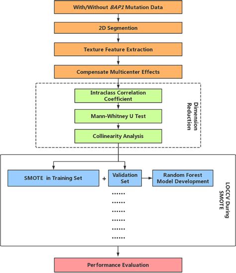 Radiomics Analysis Pipeline Loocv Leave One Out Cross Validation
