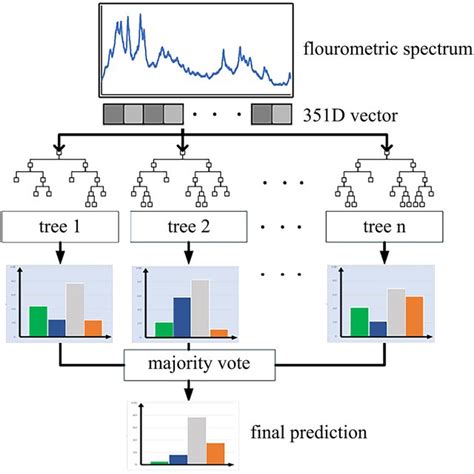 Overall Structure Of The Bagged Random Forest Rf Model Applied In Download Scientific Diagram