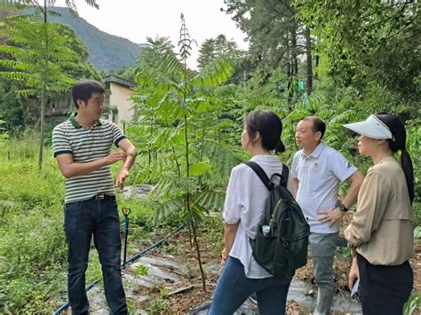 会计学院赴韶关乳源开展对口帮扶和“深调研 重实践 助力乡村振兴”主题党日活动 广东外语外贸大学新闻中心