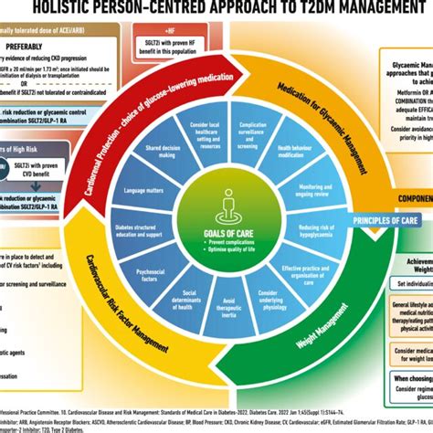 Holistic Person Centred Approach To T2dm Management Download High Resolution Scientific Diagram