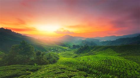 金馬崙高原的熱門旅遊景點：自然愛好者和探險家必去的景點 Agoda See The World For Less
