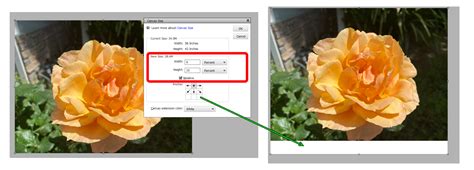 Resizing Image For Caption Adobe Community 13165449