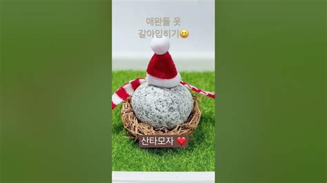 애완돌 옷 갈아입히기 애완돌 반려돌 펫스톤 Youtube