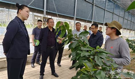 宁夏中卫市沙坡头区考察团来秦州区考察图 天水在线