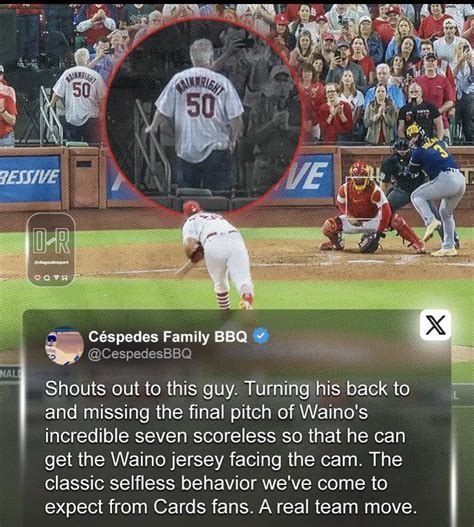 Classiest Dolphin Fan Rafceastmemewar