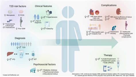 Sex Differences In Type 2 Diabetes Published Online 10 03 2023 Diabetologia