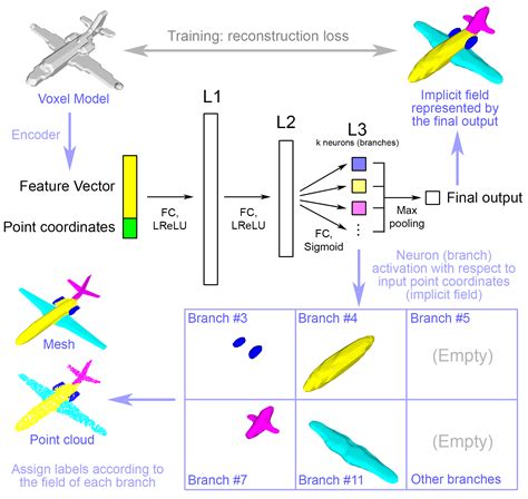 Bae Net Branched Autoencoder For Shape Co Segmentation Deepai