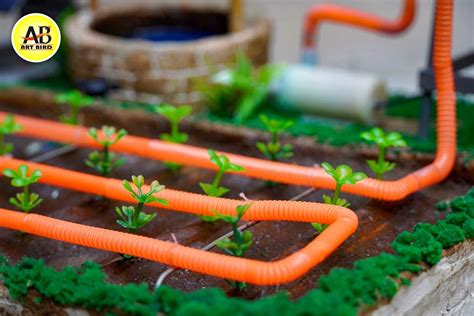 Diy Drip Irrigation Model For Science Fair