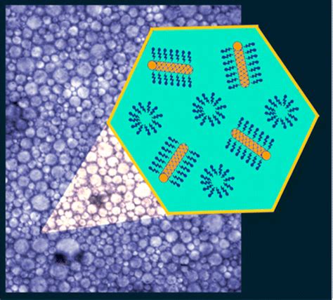 用作多功能吸附剂的功能性聚（hipe）纳米复合材料的合成中的深共溶剂作为mwcnt传递载体 Acs Applied Materials And Interfaces X Mol