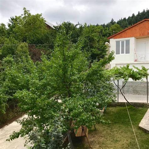 კურორტი სურამი