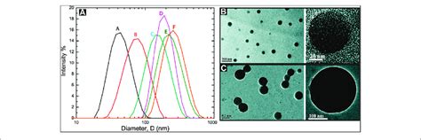 a intensity weighted particle size distributions for polymeric download scientific diagram