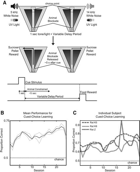 Reduced Spiking In Entorhinal Cortex During The Delay Period Of A Cued Spatial Response Task