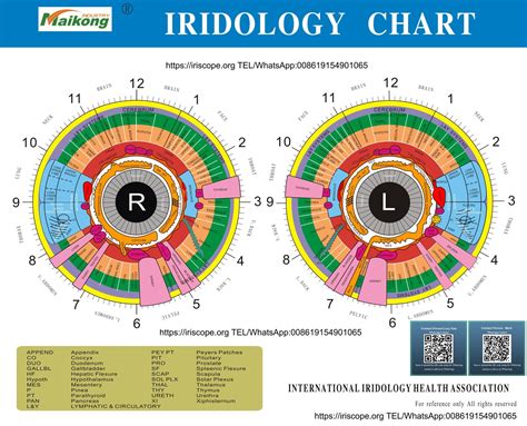 Left Iris Analysis Decoding Constitutional Types And Genetic Markers