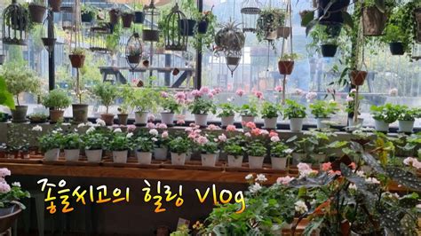 좋을씨고의 Vlog 힐링 최애 장소 Youtube