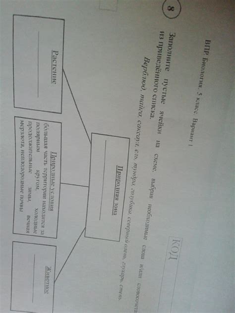 Заполнить пустые ячейки на схеме выбрав необходимые слова или словосочетания из приведённого