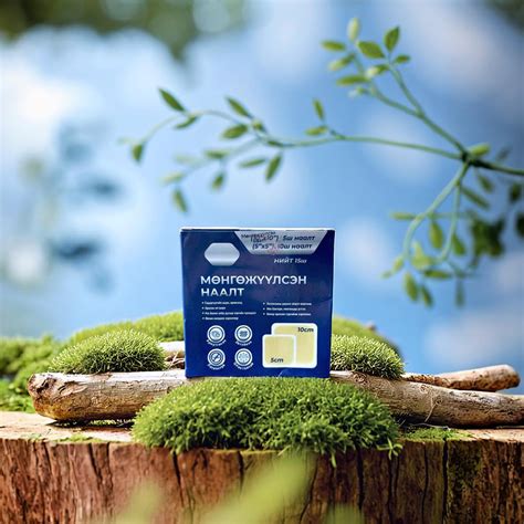 Шидэт Мөнгөжүүлсэн наалт гэдэг нь • Мөнгө агуулсан бүрхүүлтэй эрүүл мэндэд зориулсан