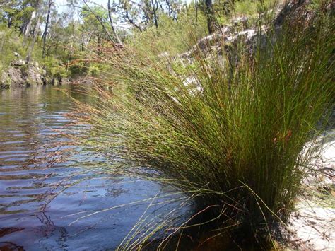 Teewah Creek By Map And Compass