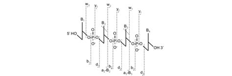 Oligonucleotide Sequence Confirmation Novatia Llc