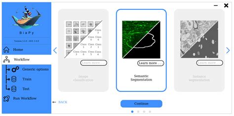 Semantic Segmentation — Biapy Documentation