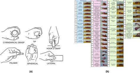How Semg Signal Classification Improves Prosthetic Control Afekas Research Authority Posted