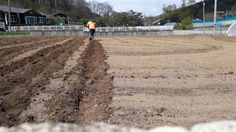 고추밭 이랑 만들기 Youtube