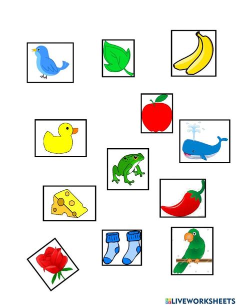 Circle The Yellow Coloured Objects 10