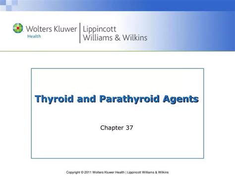 Ppt Thyroid And Parathyroid Agents Powerpoint Presentation Free