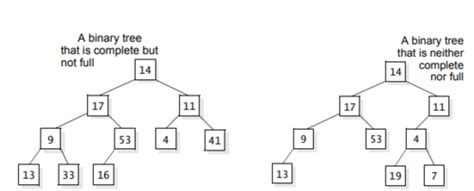 Trees Flashcards Quizlet