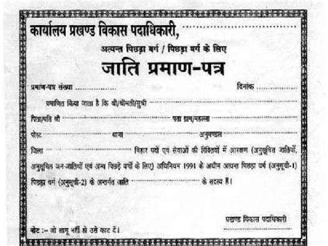 Blockage For Caste Validity Certificate From Beed Office Marathi News चाैकशीची मागणी बीड