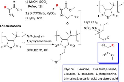 Synthesis Of Poly Isobutylene Alt N N 0 N 0 Download Scientific Diagram