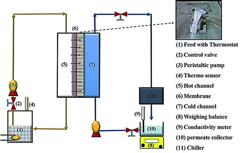 Schematic Representation Of Direct Contact Membrane Distillation Dcmd Download Scientific