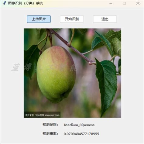 深度学习苹果成熟度识别系统 深度学习 卷积神经网络 Resnet Mobilenet源码lw部署文档讲解等深度学习苹果成熟度检测