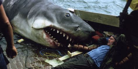 Where Was ‘jaws Filmed