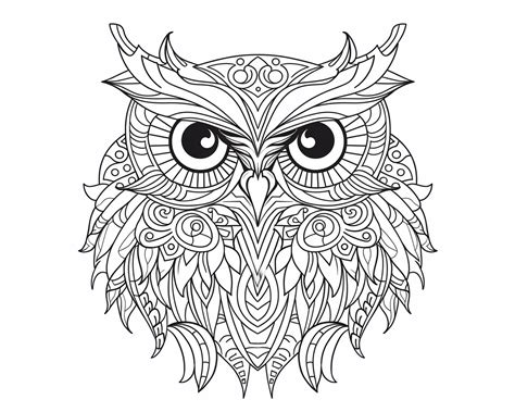 Sova 30 Omalovánky K Vytisknutí Zdarma