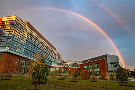 George Mason University Admission Ranking Acceptance Rate Courses And Fees