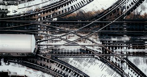 the convergence of ai biotech and quantum computing by shaan ray lansaar medium