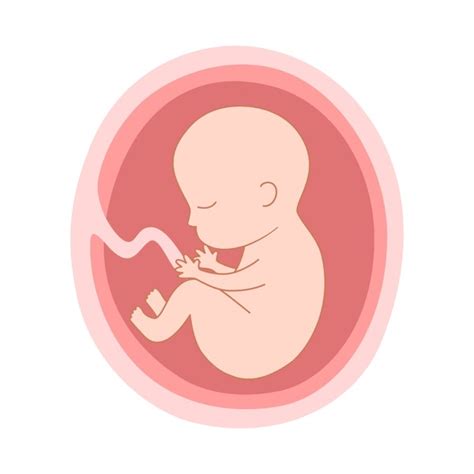 Fetus Drawing Funny