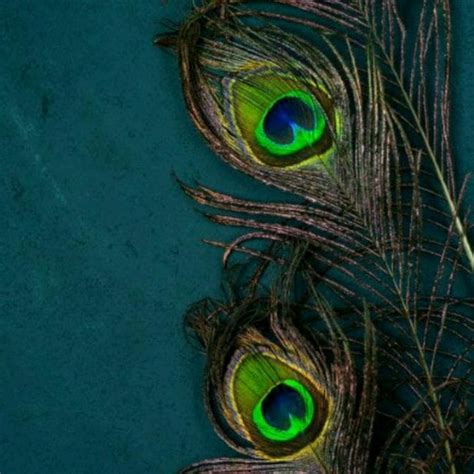 Hardik Kevadiya Youtube