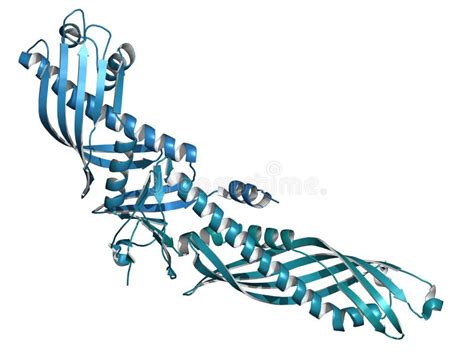 Cholesteryl Ester Transfer Protein Cetp Potential Drug Target Stock Illustration
