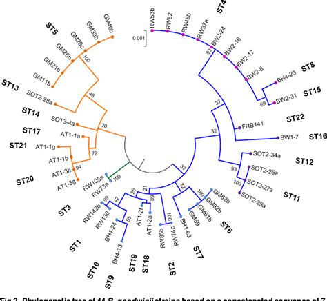 Figure 3 From Multilocus Sequence Typing Provides Insights Into The Population Structure And