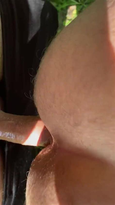 Bears In The Woods Pt ThisVid Com Bears In The Woods Pt ThisVid Com