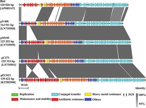 Comparative Analysis Of Pec012 With Other Inci1 Plasmids Homologous Download Scientific