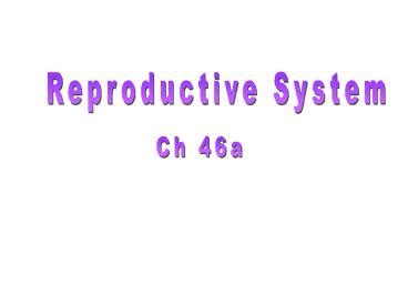 PPT Reproductive System PowerPoint Presentation Free To Download Id 36fbc MjY5N