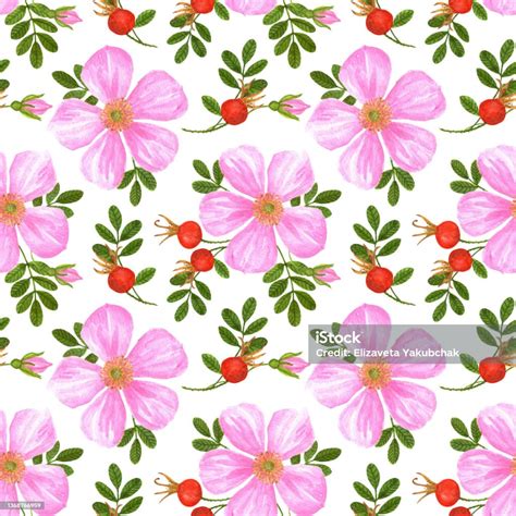 로즈힙 매끄러운 패턴 직물 벽 덮개 엽서 초대장 스크랩북 용지 또는 포장지를 위한 디자인 0명에 대한 스톡 사진 및 기타 이미지 Istock