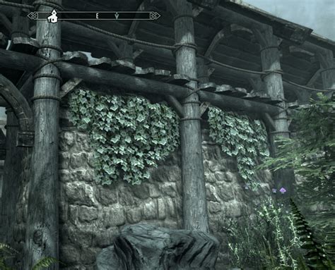 Noble Textures Not Loading Rskyrimmodsxbox