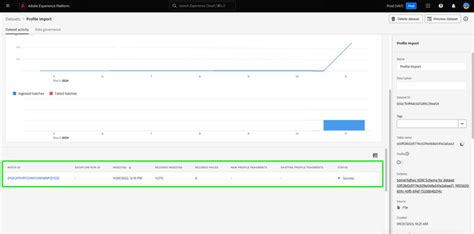 Datasets Ui Guide Adobe Experience Platform